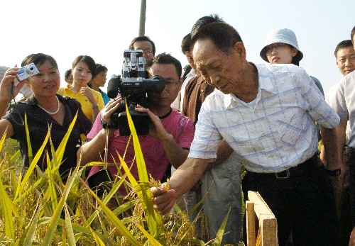 袁隆平超级稻创造安徽水稻单产新纪录