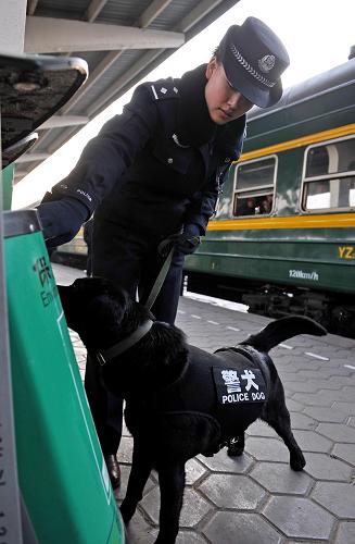 搜爆犬上岗保平安春运