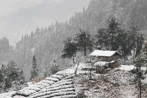 雷公山冬日景色美
