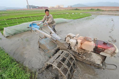 闽北农民种粮忙