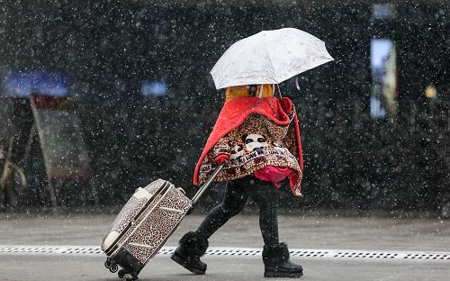 瑞雪伴我行