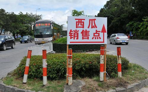 广西北海市在市区免费提供摊位解决农民灾后卖瓜难